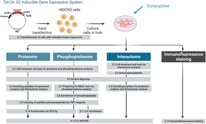 Systematic Identification of Kinase-Substrate Relationship by ...