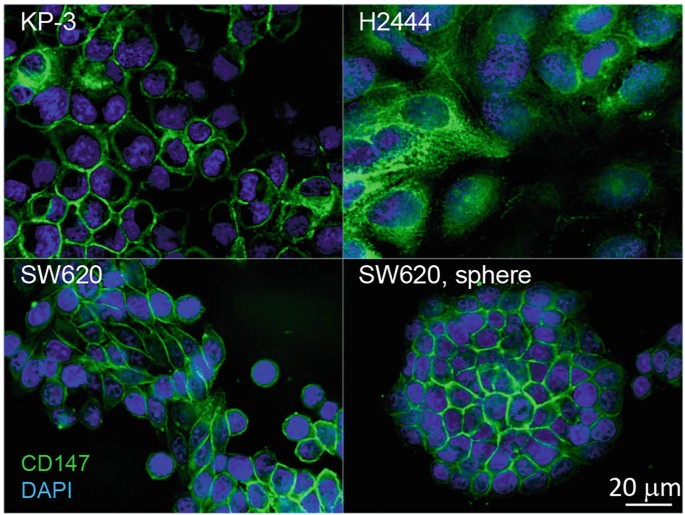 Quantitative Membrane Proteomics for Discovery of Actionable Drug ...