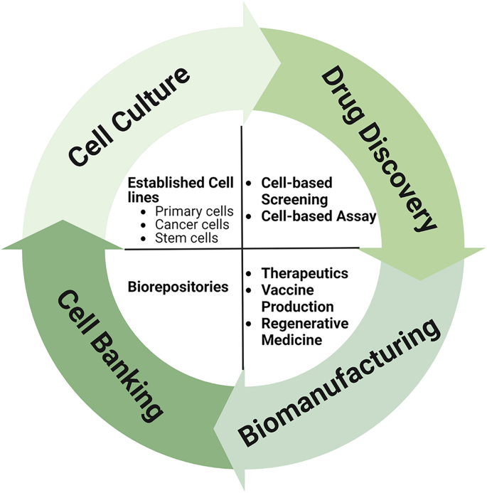 Drug Screening Using Normal Cell and Cancer Cell Mixture in an ...