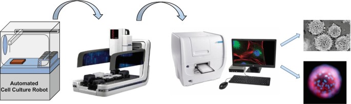 Drug Screening Using Normal Cell and Cancer Cell Mixture in an ...