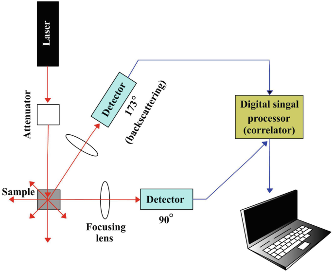 Dynamic Light Scattering of DNA-Ligand Complexes | SpringerLink
