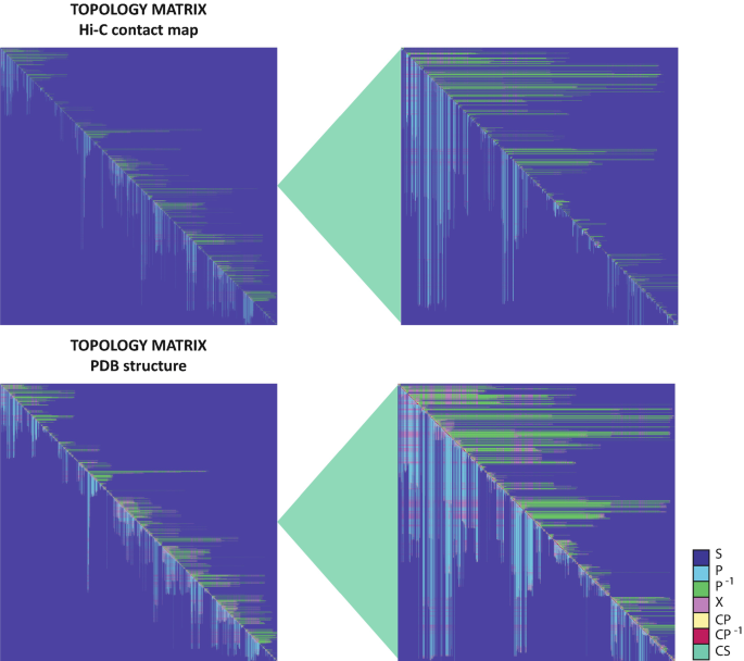 Circuit Topology Analysis of Single-Cell HiC Data | SpringerLink