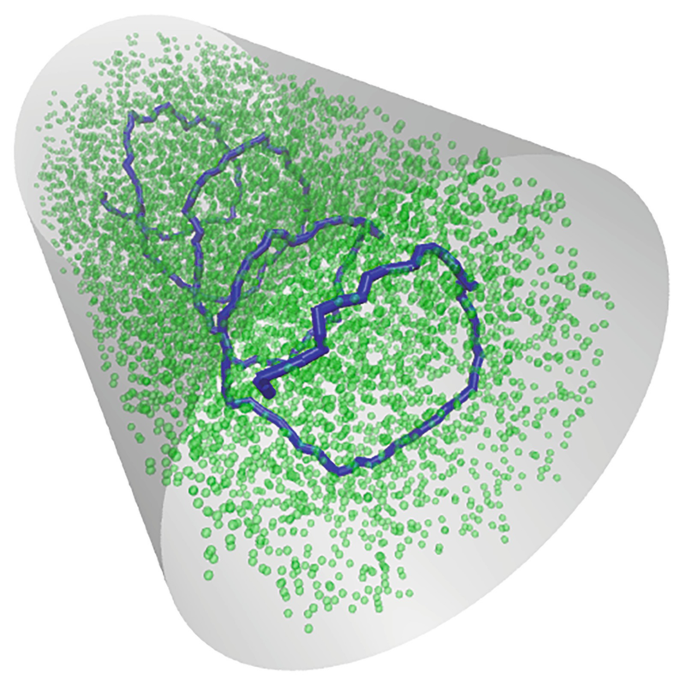 Molecular Dynamics Simulation of a Feather-Boa Model of a Bacterial ...