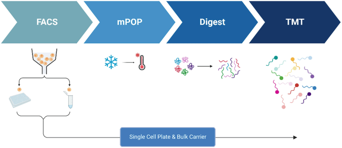 Single-Cell Proteomics Analysis with Tecan Uno and SCREEN Workflow ...