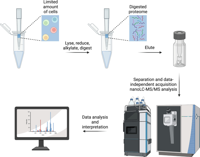 Comprehensive Micro-SPE-Based Bottom-Up Proteomic Workflow for ...