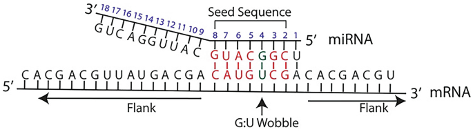 Use of RT-qPCR for Measuring the Expression of the Fecal MicroRNA from ...