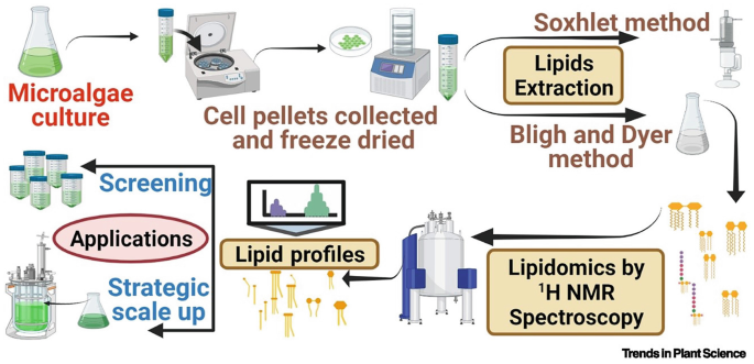 Authentication of Microalgae Edible Lipids Using Non-Targeted C12-NMR ...