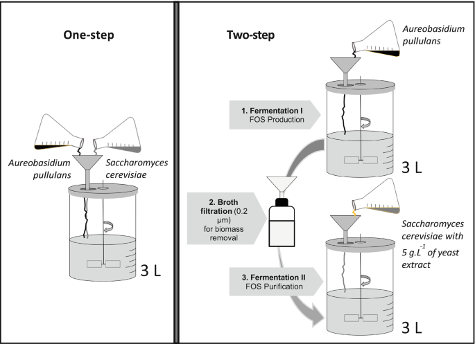 Methods Applied to the Purification of Prebiotic Fructo ...