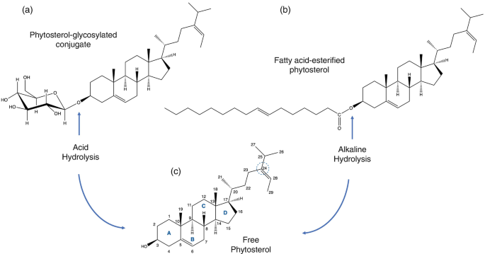 Extraction and Purification of Bioactive Phytosterols from Edible ...