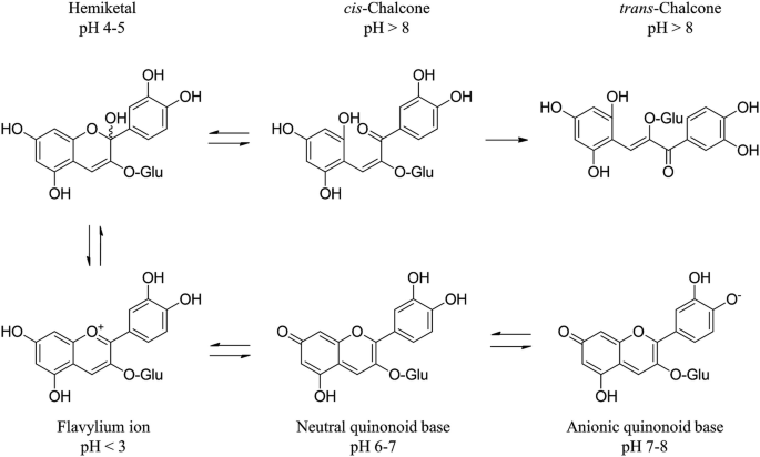 Copigment and Anthocyanin-Rich Fractions from Berries Using Cationic ...
