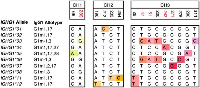 Identification of IgG1 and IgG3 Allotypes by PCR and Sanger Sequencing ...