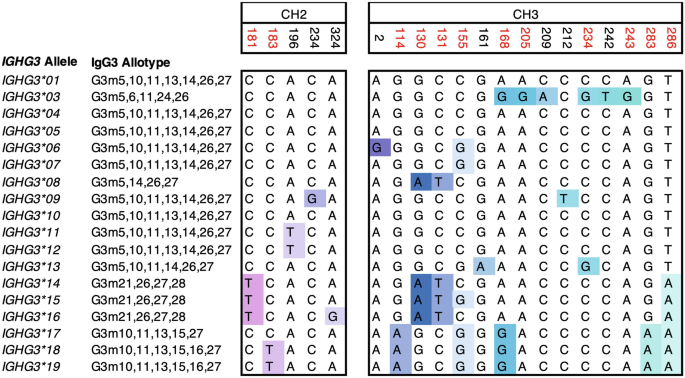 Identification of IgG1 and IgG3 Allotypes by PCR and Sanger Sequencing ...