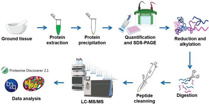 Proteomic Analysis of In Vitro Plant Tissues (Coffea canephora): A Case ...