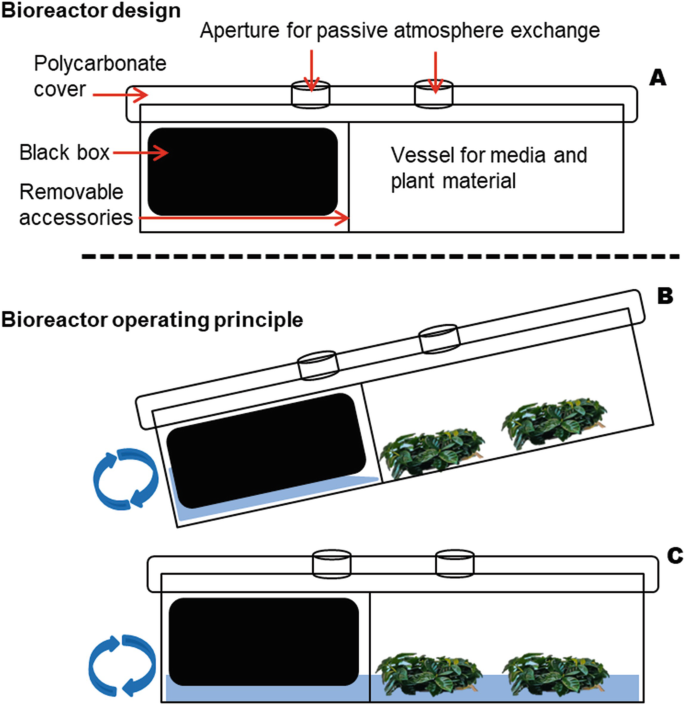Plant Micropropagation and Temporary Immersion Systems | Springer ...