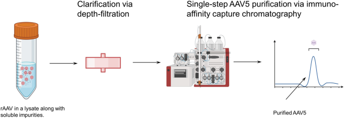 Recombinant AAV Purification | SpringerLink