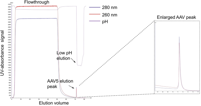 Recombinant AAV Purification | SpringerLink