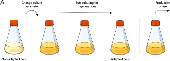 Adaptive Laboratory Evolution to Improve Recombinant Protein Production ...
