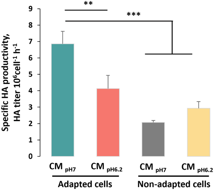 Adaptive Laboratory Evolution to Improve Recombinant Protein Production ...