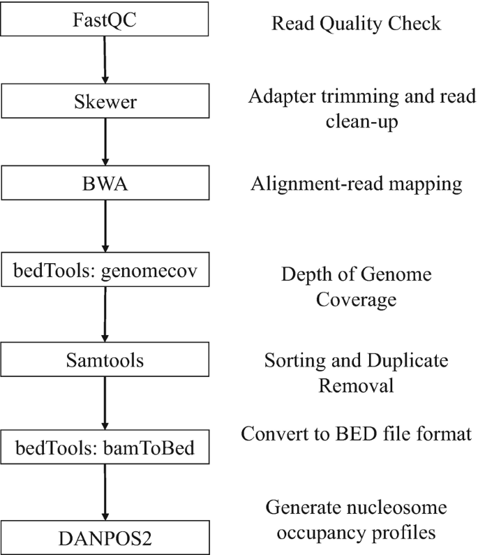 MNase-Seq Analysis for Identifying Stress-Altered Nucleosome Occupancy in Plants | SpringerLink
