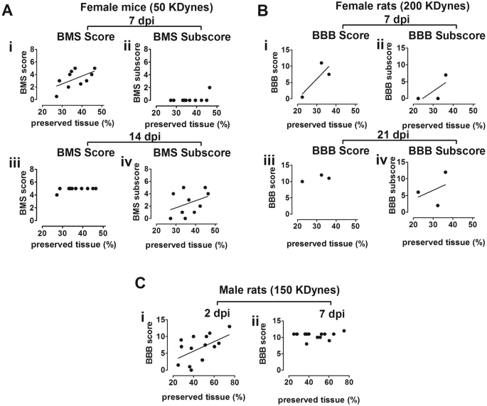 Stereological Evaluation of Tissue Preservation After Neuroprotective ...