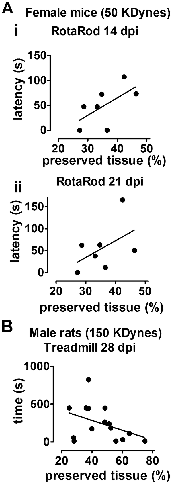 Stereological Evaluation of Tissue Preservation After Neuroprotective ...