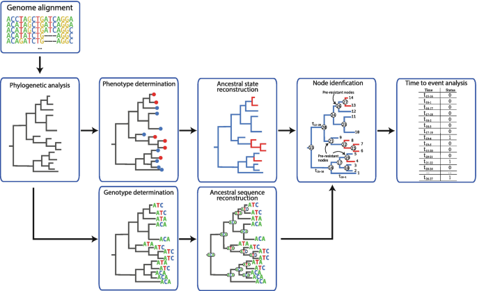 Phylogenetic Survival Analysis | SpringerLink