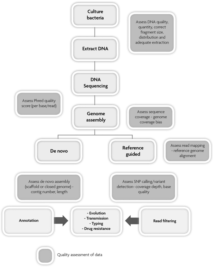 Application of Pathogen Genomics to Outbreak Investigation | SpringerLink