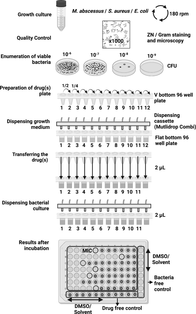 Modified HT-SPOTi: An Antimicrobial Susceptibility Testing to Evaluate ...