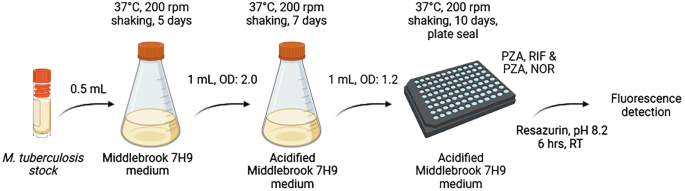 A Microtiter Plate Assay at Acidic pH to Identify Potentiators that ...