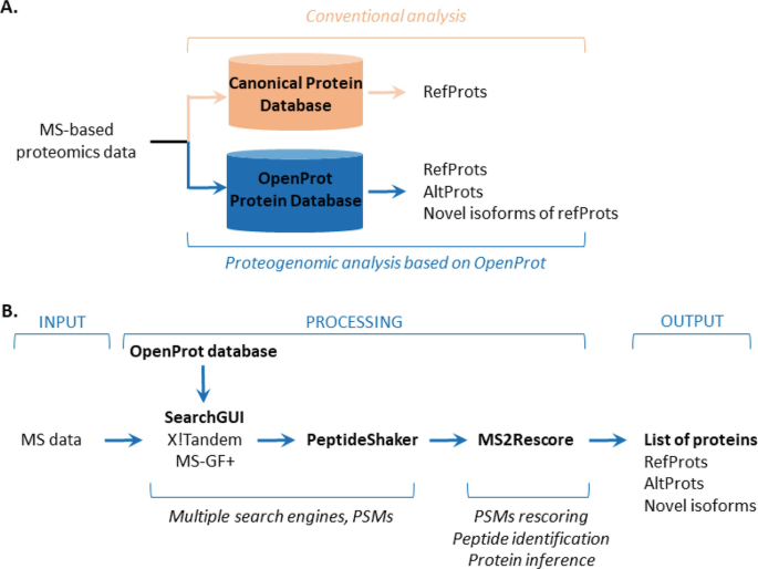 Exploring the Alternative Proteome with OpenProt and Mass Spectrometry ...