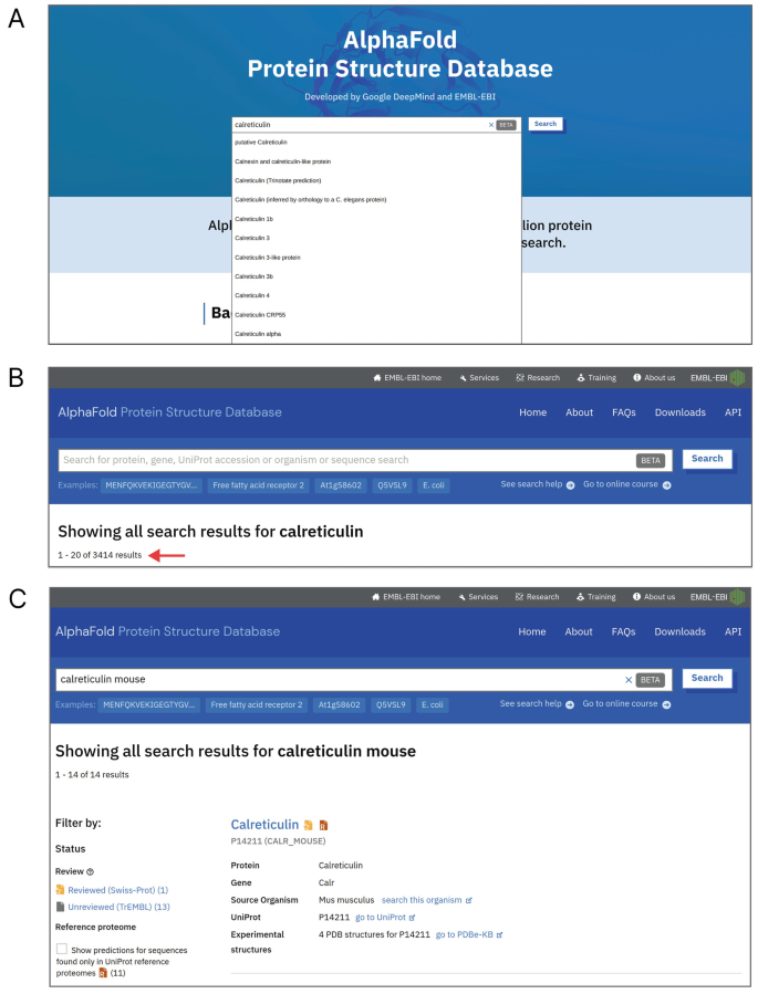 AlphaFold2 for Protein Structure Prediction: Best Practices and ...