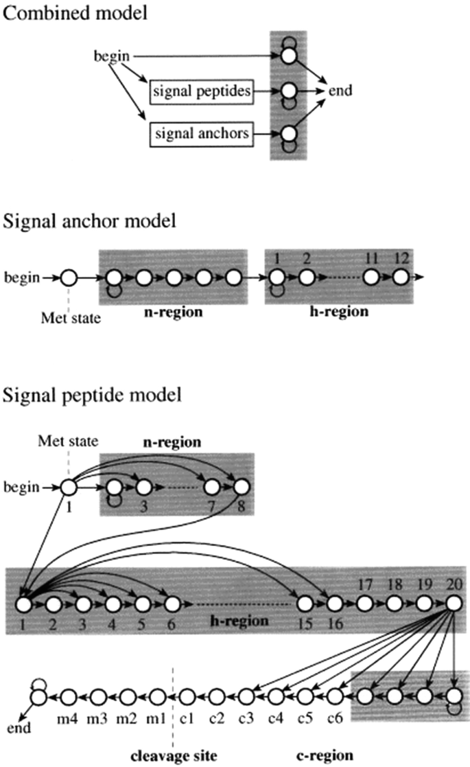 SignalP: The Evolution of a Web Server | SpringerLink