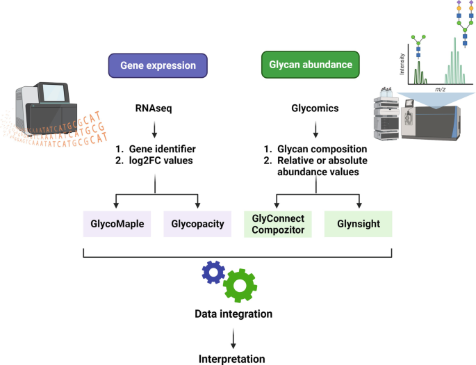 Integration of Web-Based Tools to Visualize, Integrate, and Interpret Glycogene Expression and ...
