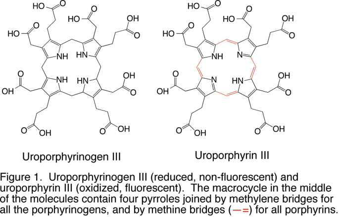 Ultra-Performance Liquid Chromatography (UPLC) Analysis of Heme ...