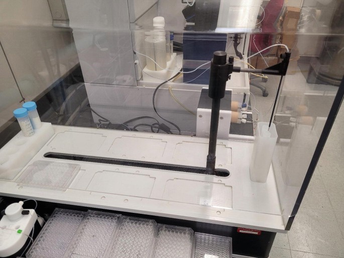 ICP-MS Analysis of Iron from Biological Samples | SpringerLink