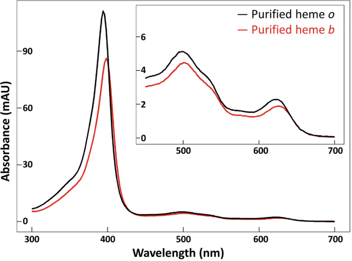 Heme o Isolation and Analysis Using Heme o Synthase Heterologously ...