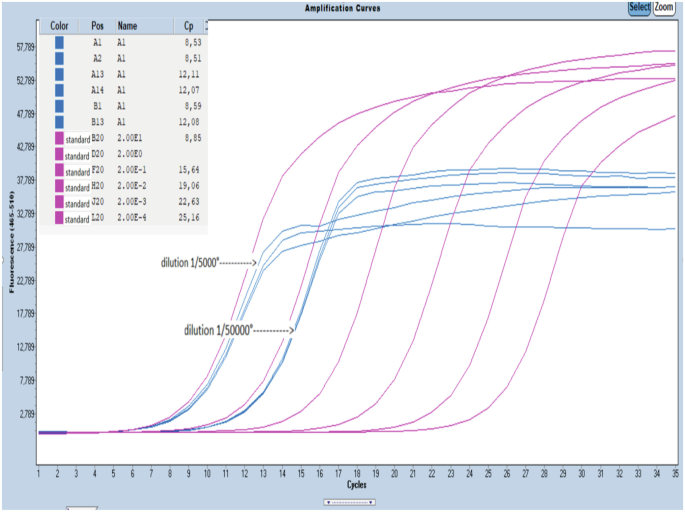 Whole-Genome Bisulfite Sequencing Protocol for the Analysis of Genome ...