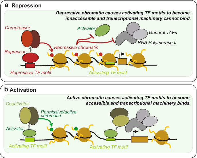 Using High-Throughput Measurements to Identify Principles of ...