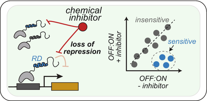 Using High-Throughput Measurements to Identify Principles of ...
