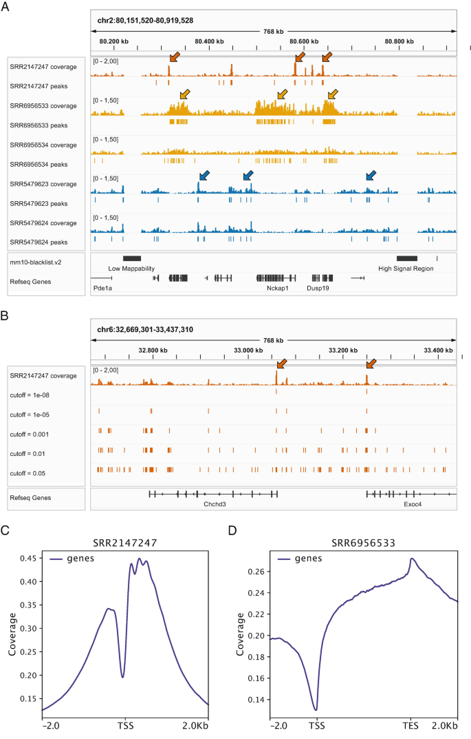 Bioinformatics Core Workflow for ChIP-Seq Data Analysis | SpringerLink