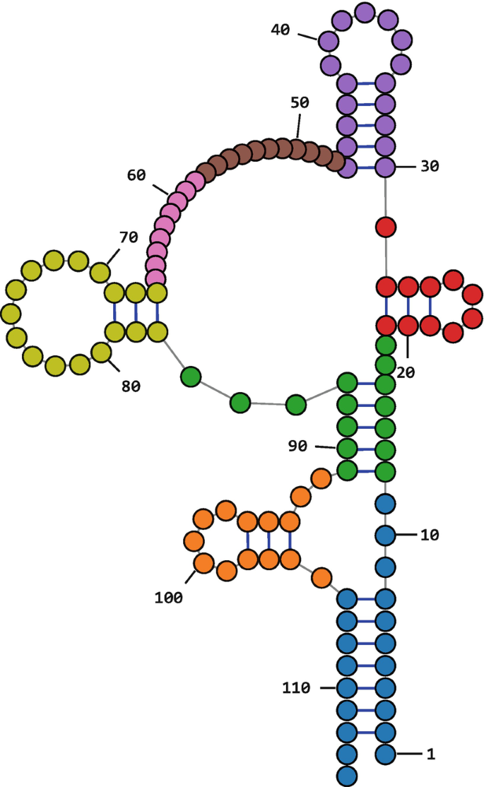 Sequence Design Using RNAstructure | SpringerLink