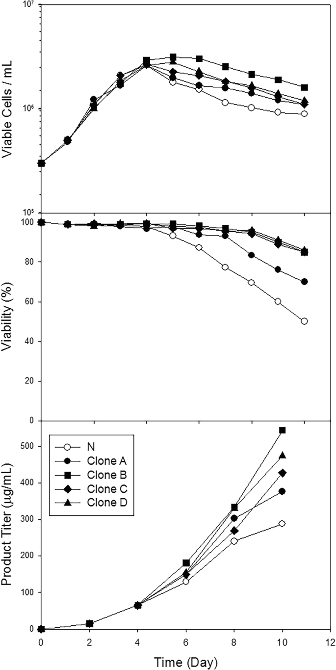 Antiapoptosis Engineering for Improved Protein Production from CHO ...