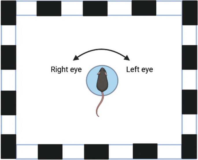 Testing Visual Function by Assessment of the Optomotor Reflex in ...