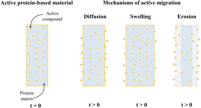 Bioactive Encapsulation in Food Packaging Materials Based on Proteins ...