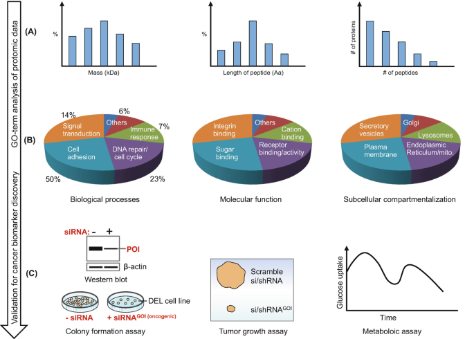 Biomarker Discovery via N-Glycoproteomics | SpringerLink