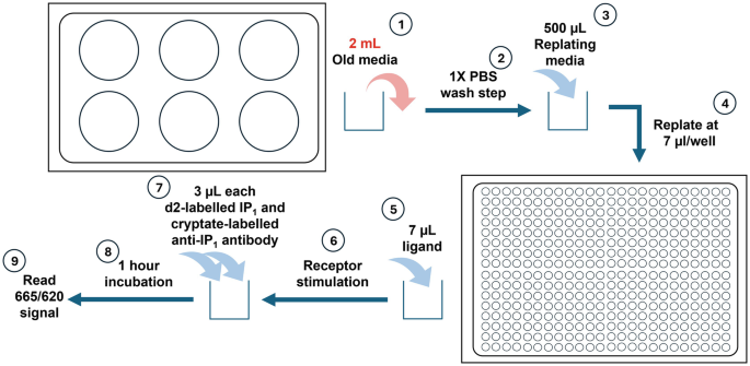 Quantifying Gq Signaling Using the IP1 Homogenous Time-Resolved ...