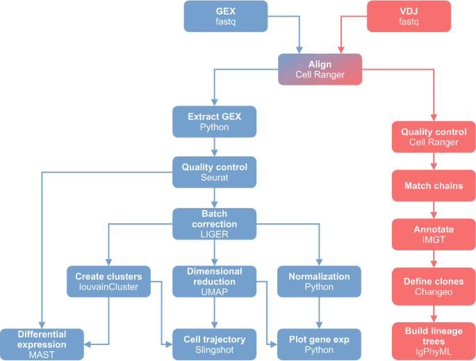 Single-Cell Transcriptomic Analysis of Normal and Malignant B Cells ...