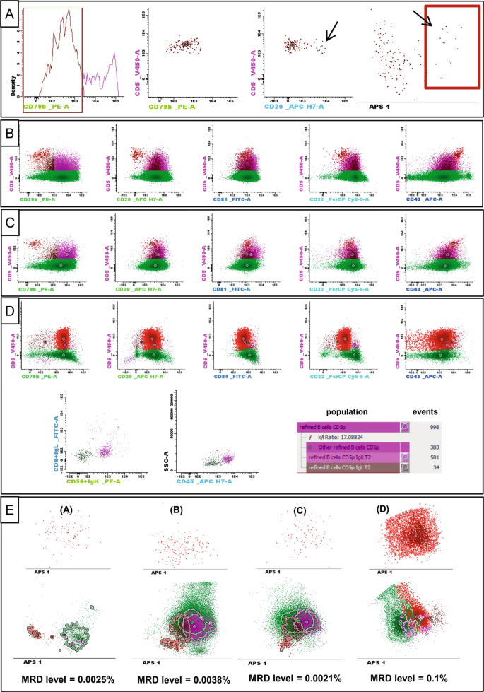 Flow Cytometric MRD Detection in Selected Mature B-Cell Malignancies | SpringerLink