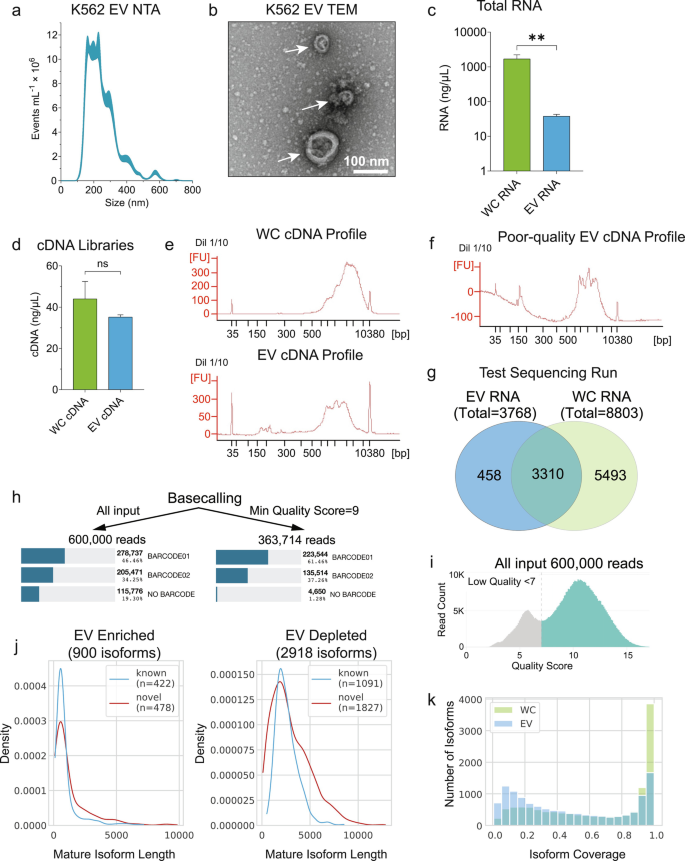 Exploring Extracellular Vesicle Transcriptomic Diversity Through Long ...