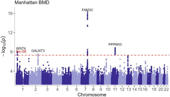 Analysis of Genome-Wide Association Studies | SpringerLink